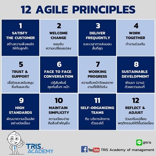 The 12 Agile Principles An Illustrated Guide Infograp - vrogue.co