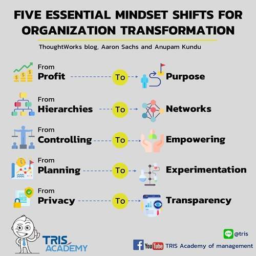 Five Essential Mindset Shifts for Organization Transformation - TRIS ...