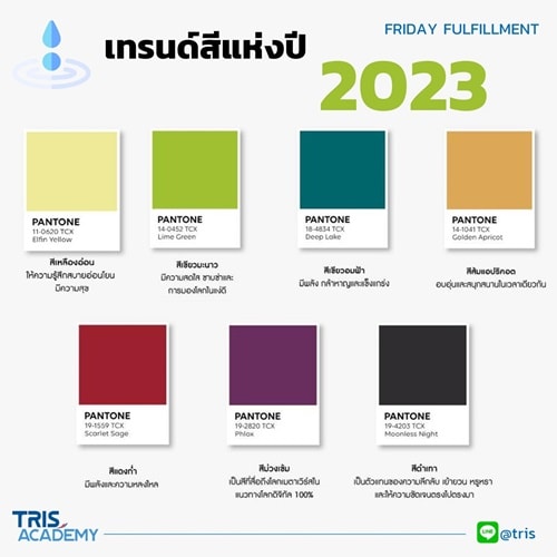 เทรนด์สีแห่งปี 2023 - TRIS Corporation
