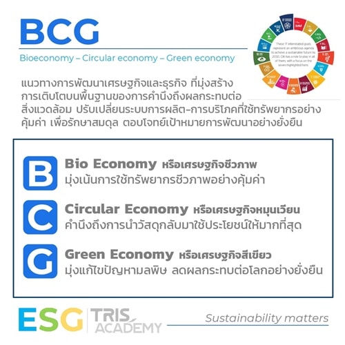 BCG : Bioeconomy – Circular economy – Green economy - TRIS Corporation
